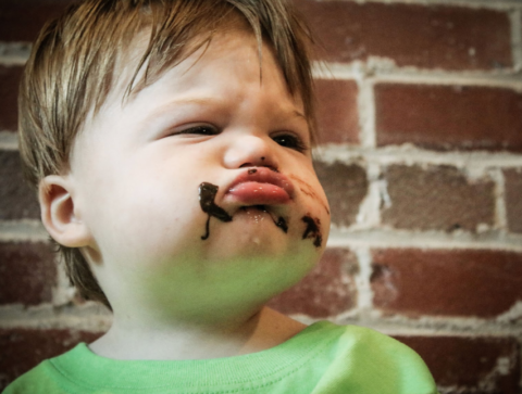 Finger Lakes Chocolates | The Finest Chocolates and Gifts in the Region